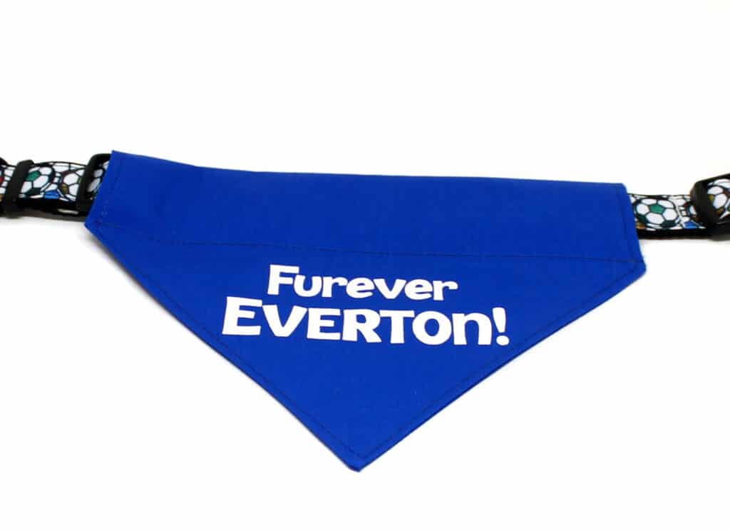 Furever Everton Bandana | Dog Charmed